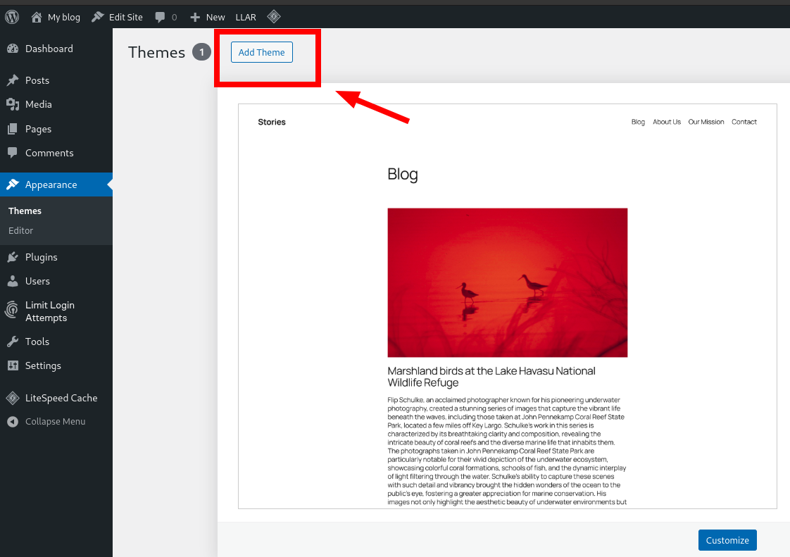 How to install WordPress Themes - Epik